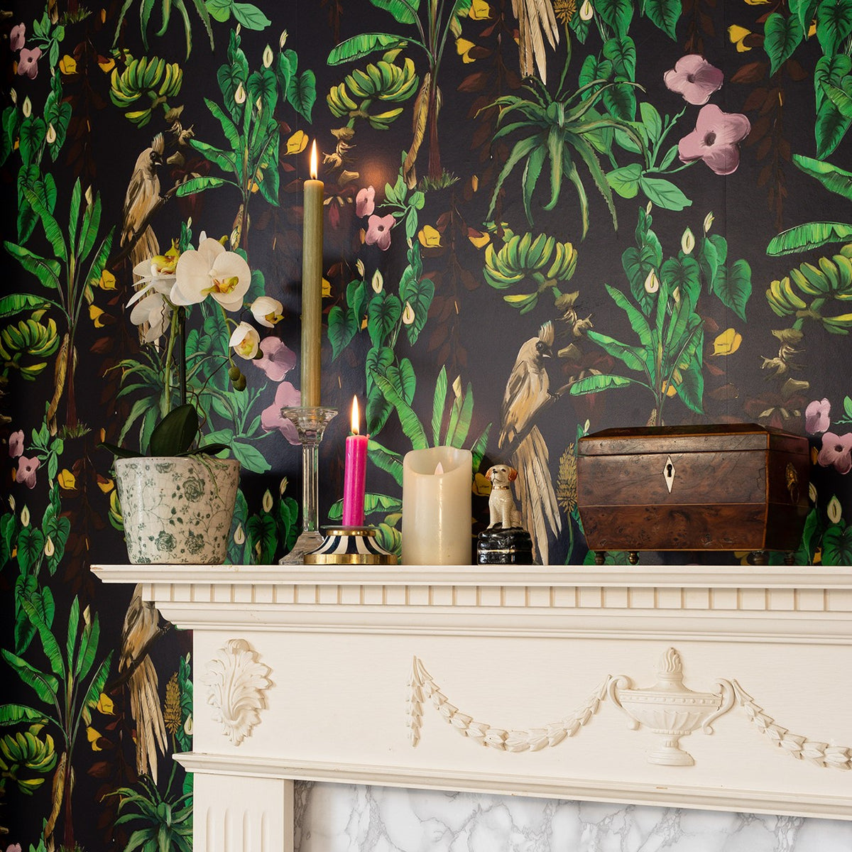 Luxury designer wallpaper collections – Whistling Thorn Designs